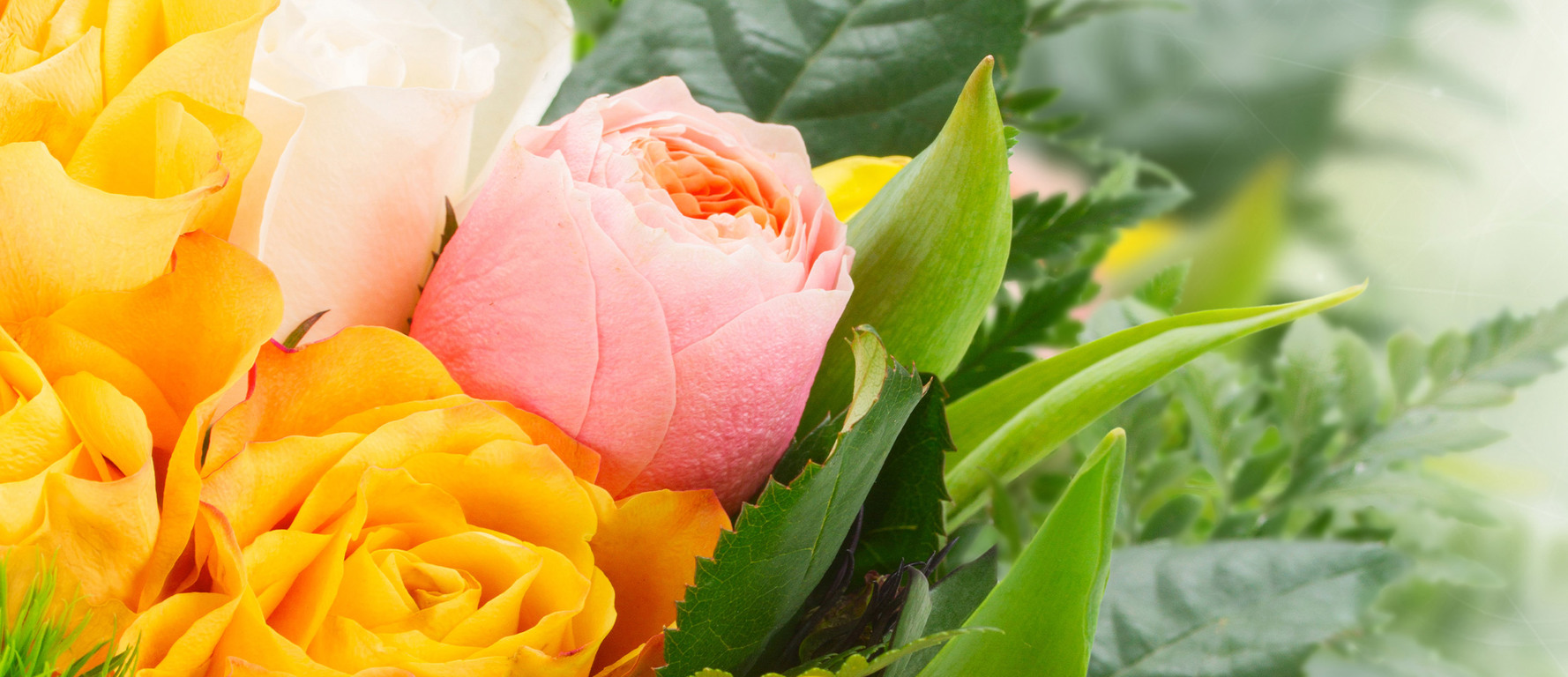 Springfield MA Florist - Flower Delivery Springfield by Durocher's Florist