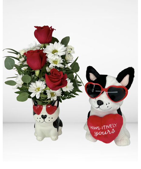 Paw-Sitively Yours Bouquet - West Springfield MA Flower Delivery by ...